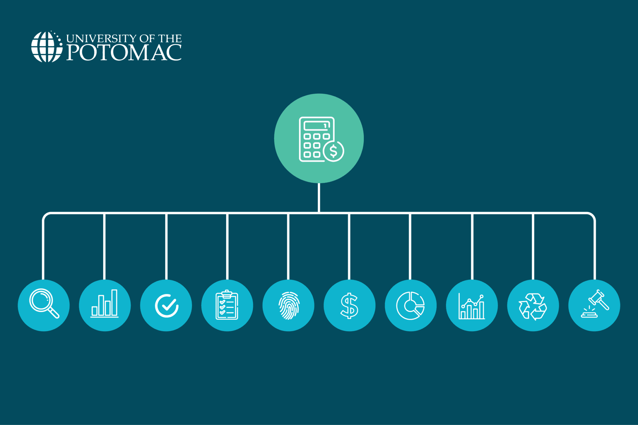 10 Types of Accountants: Roles and Specializations - University of the ...