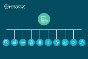 10 Types of Accountants: Roles and Specializations - University of the ...