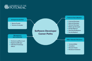 Software Developer Career Paths: Everything You Need To Know