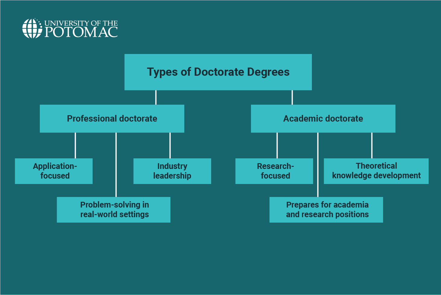 What Is a Doctorate Degree? Types, Length, and Opportunities