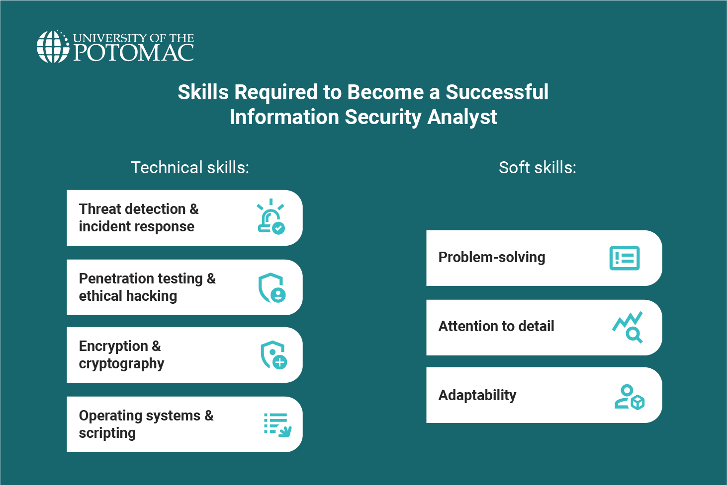 What Is an Information Security Analyst? Roles & Skills