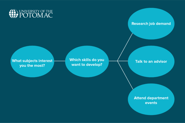 What Is a Concentration in College? Full Breakdown