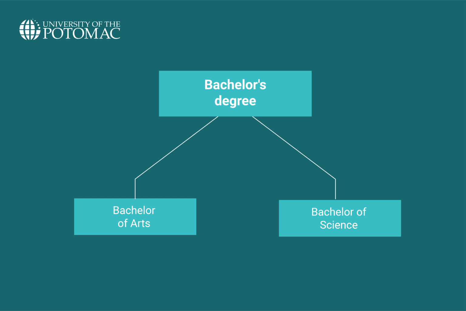 How Many Years Is a Bachelor's Degree? Timeline & Options