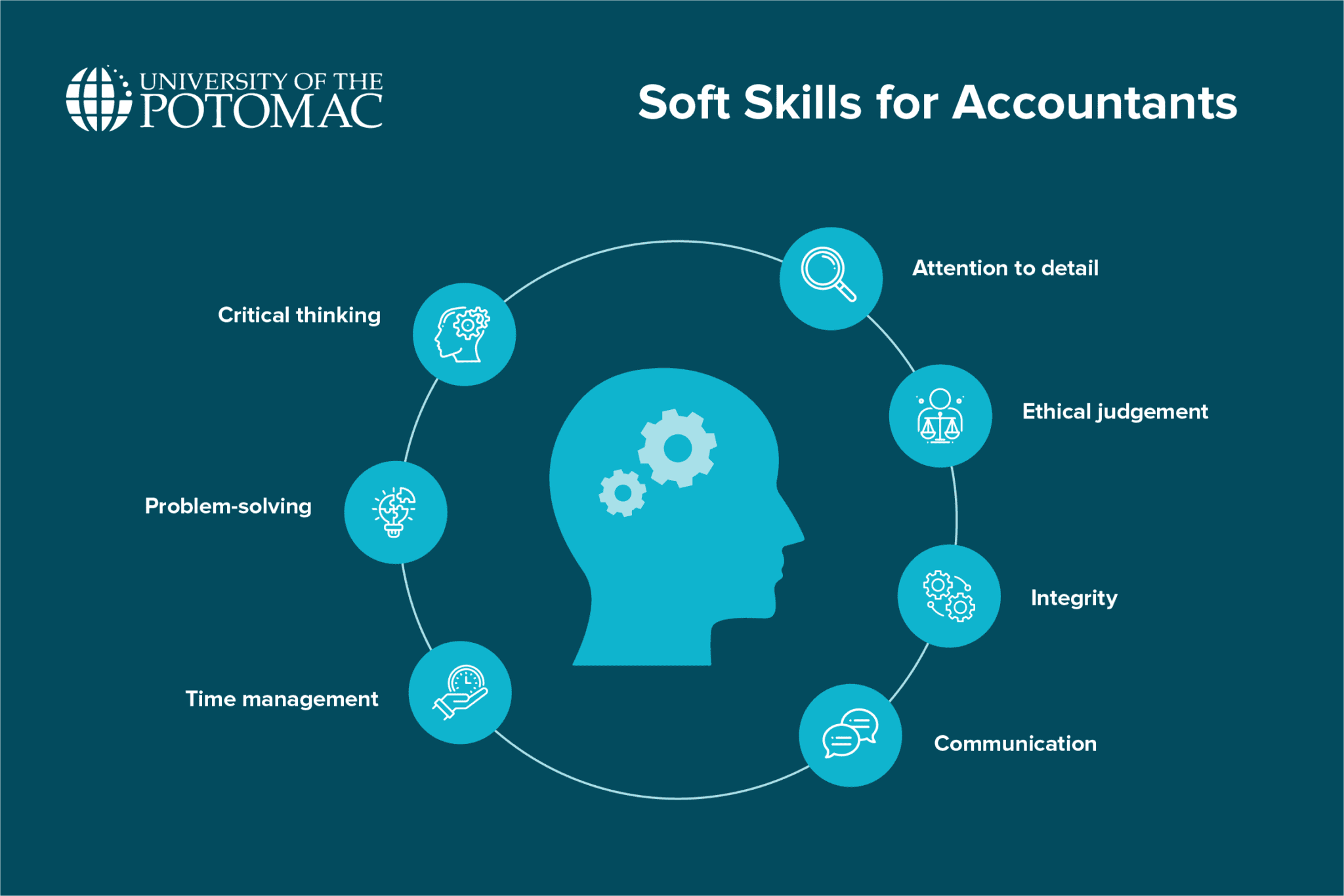 10+ Accounting Skills You Need for a Successful Career