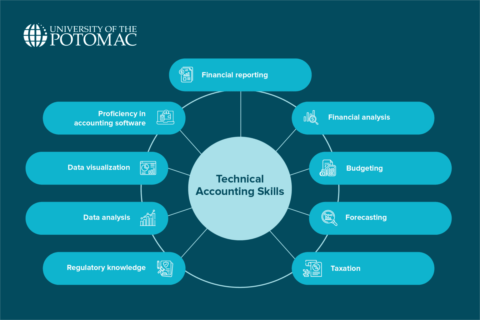 10+ Accounting Skills You Need for a Successful Career | UOTP