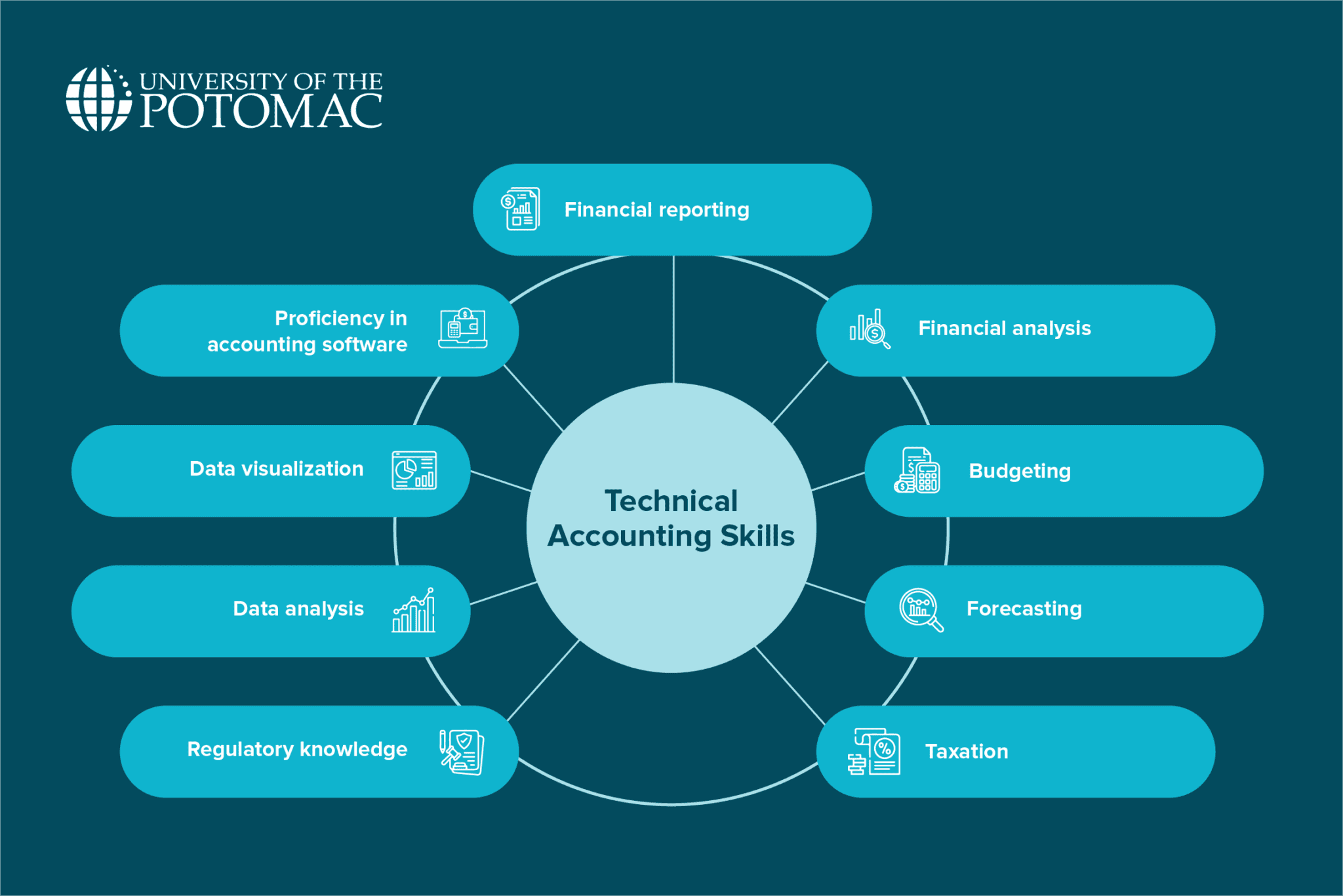 10+ Accounting Skills You Need for a Successful Career