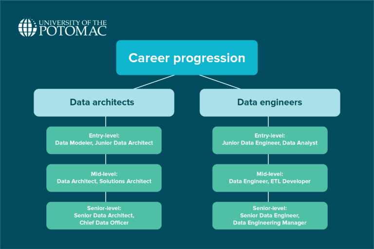 Data Architect vs. Data Engineer: Differences & Career Paths | UOTP