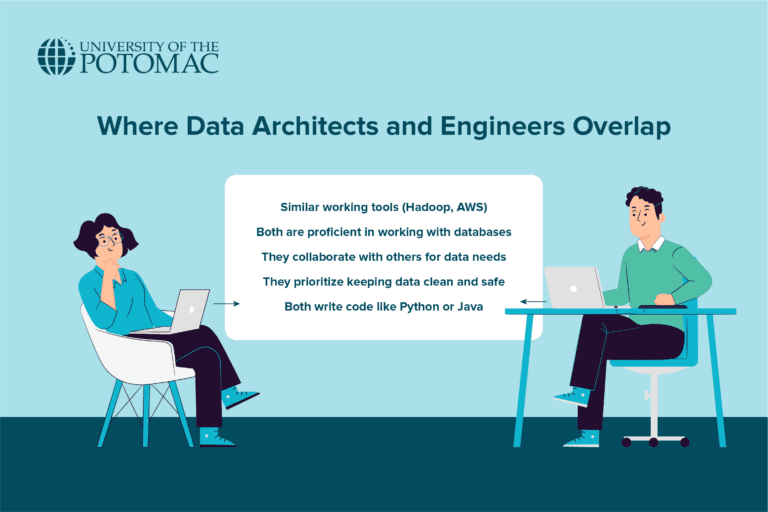 Data Architect vs. Data Engineer: Differences & Career Paths | UOTP