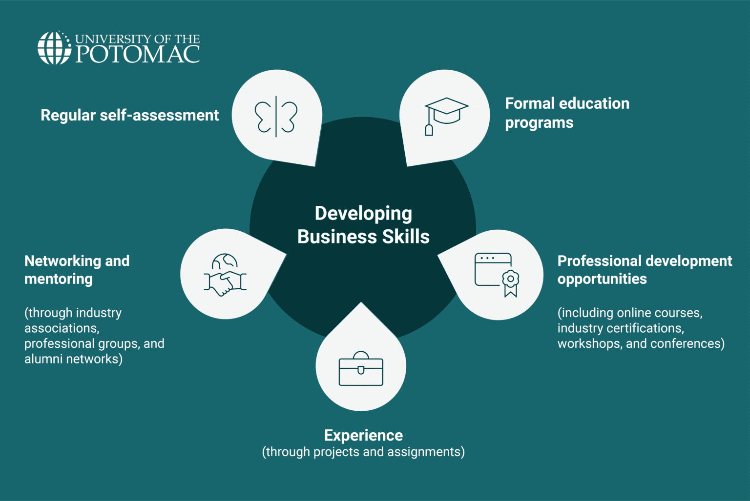 Top Business Skills for Career Success in Any Industry - University of ...