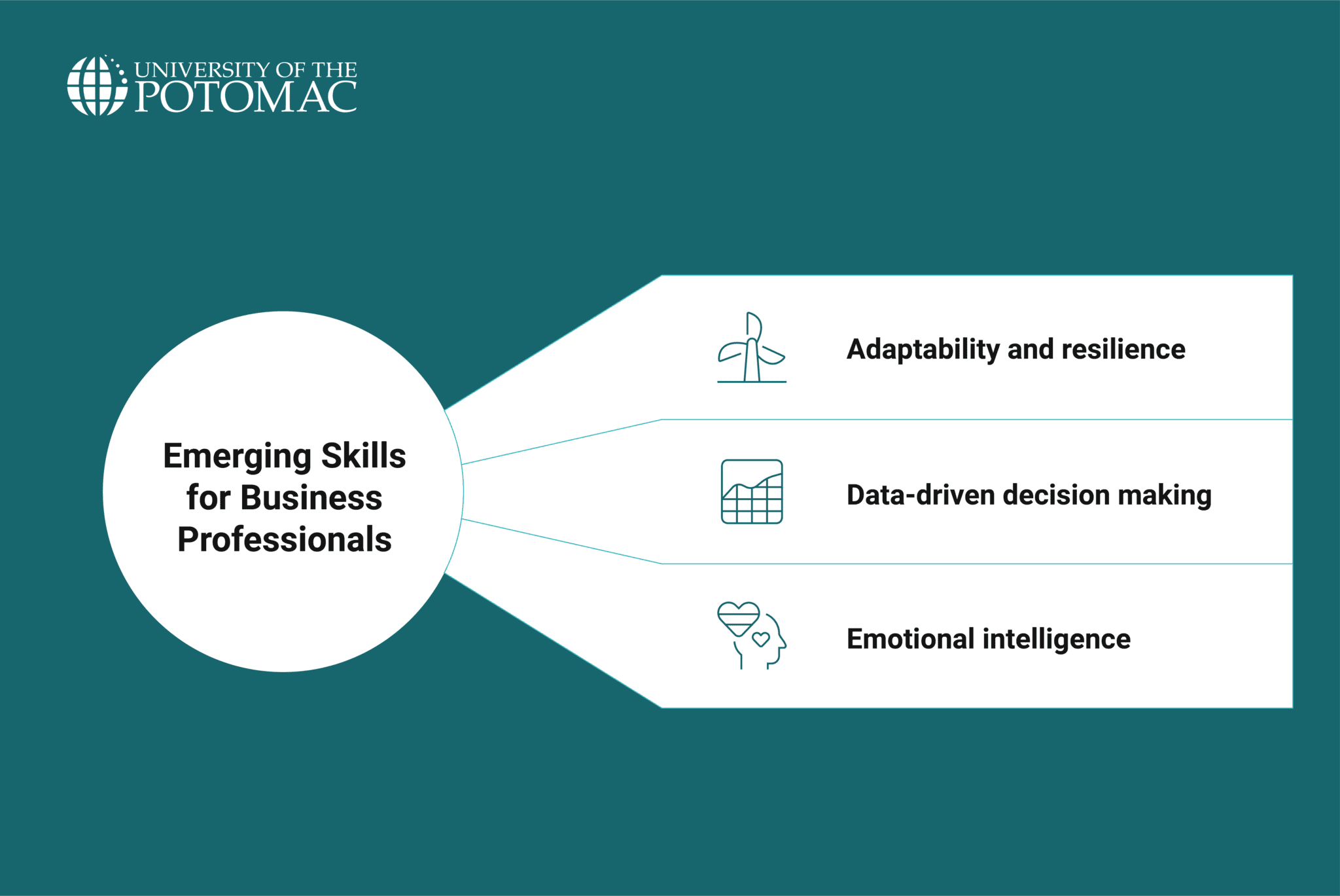 Top Business Skills for Career Success in Any Industry - University of ...